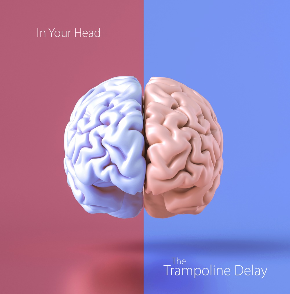 Canadian Artist The Trampoline Delay Releases New Single & Album - Out ...