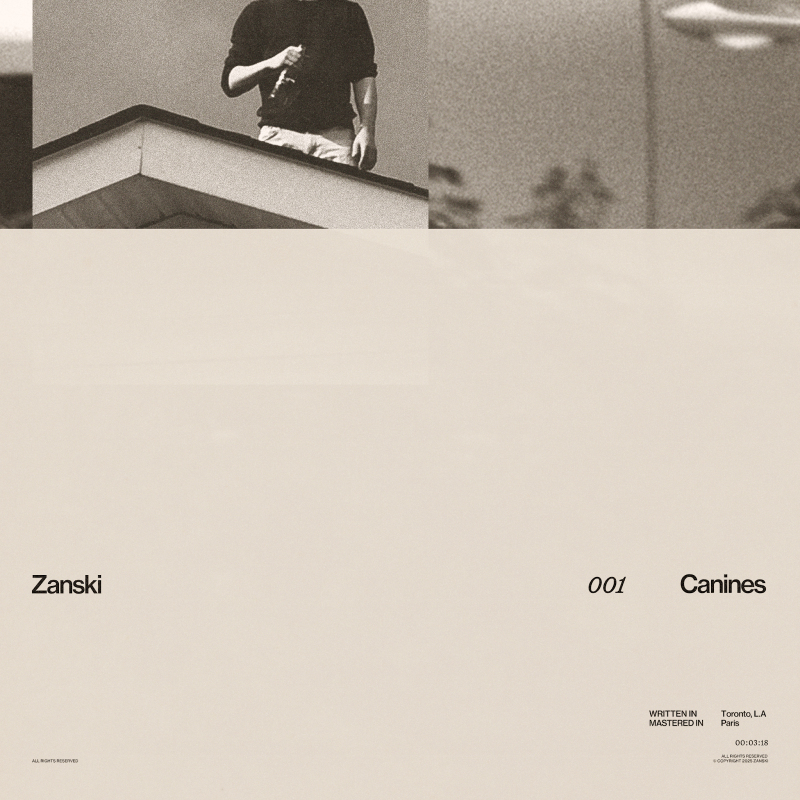 Zanski Delivers a Melancholic, Genre-Bending Masterpiece with New ...